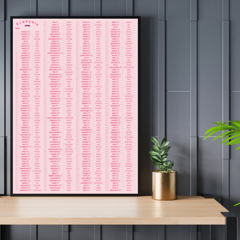 Pink French Cheat Sheet Poster Bundle - Most Common French Verbs, Nouns ...