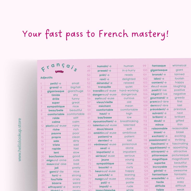 Pink Turquoise French Cheat Sheet Poster - Most Common French ...