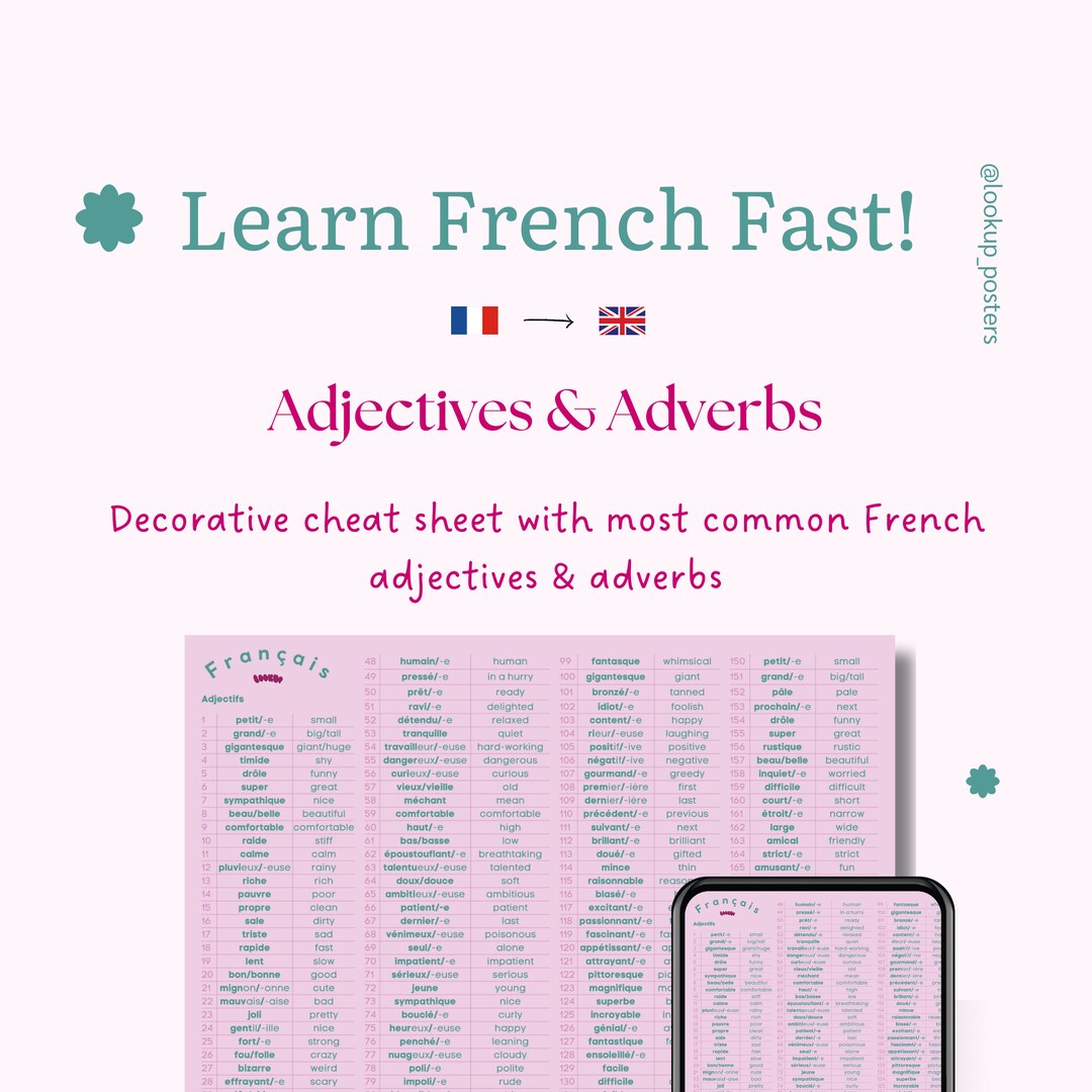 Pink Turquoise French Cheat Sheet Poster - Most Common French ...