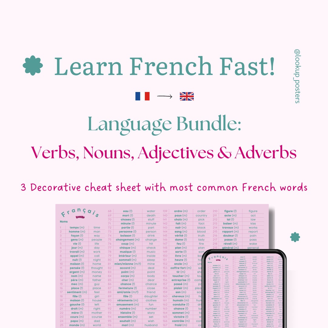 Pink French Cheat Sheet Poster Bundle - Most Common French Verbs, Nouns ...