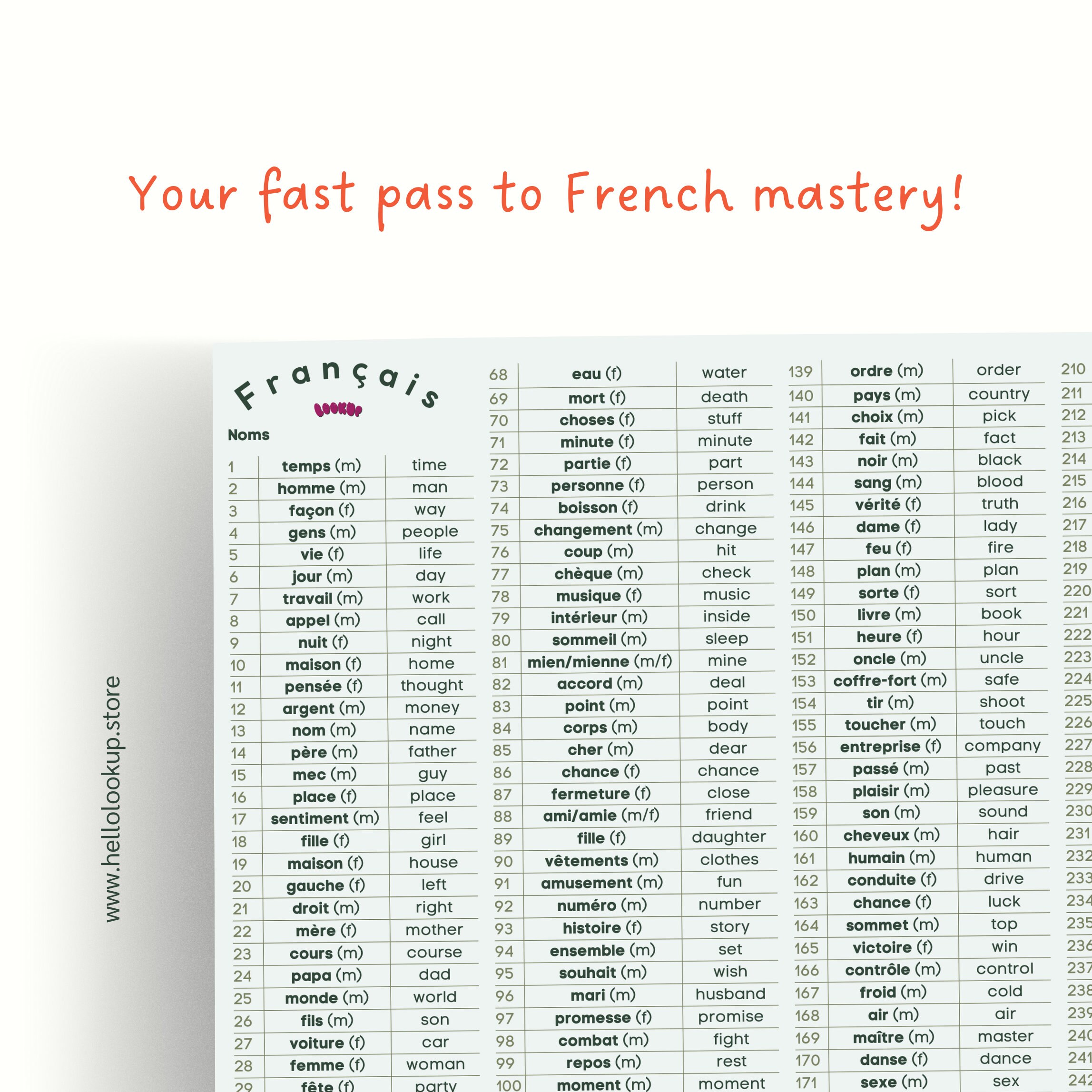 Mint Green French Cheat Sheet Poster Bundle - Most Common French Verbs ...
