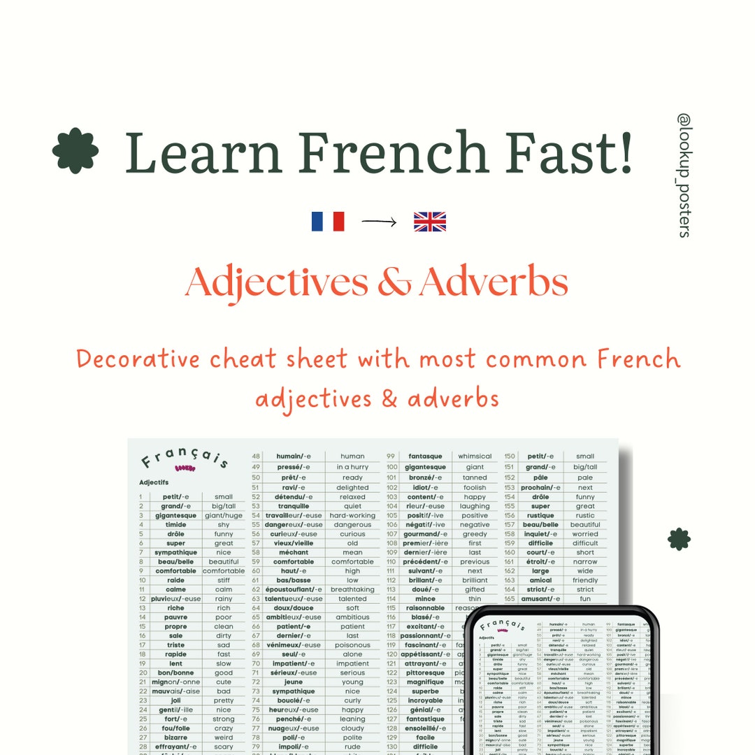 Mint Green French Cheat Sheet Poster Most Common French Adjectives ...