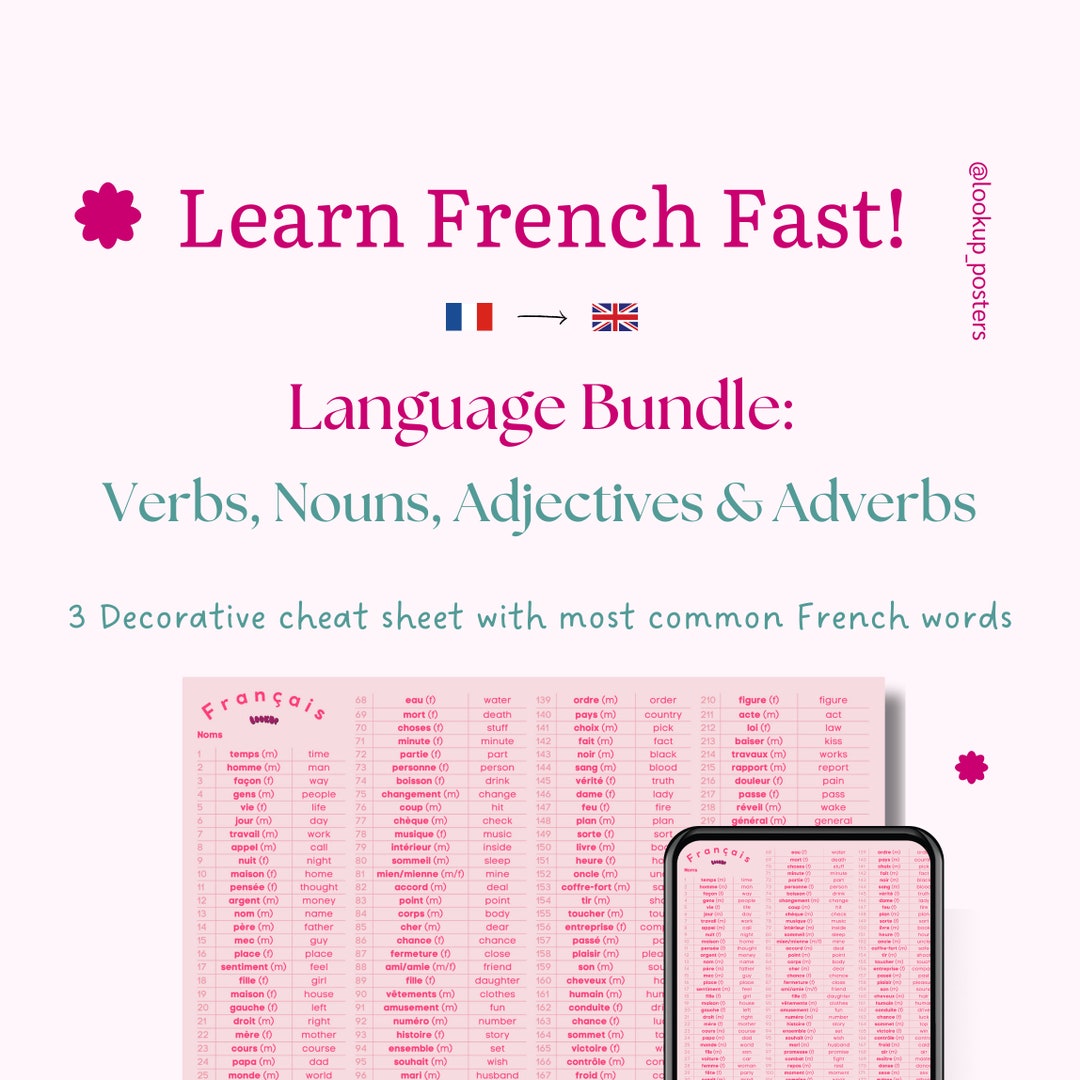 Pink French Cheat Sheet Poster Bundle - Most Common French Verbs, Nouns ...