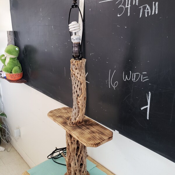 Cholla Wood Lamp - Etsy