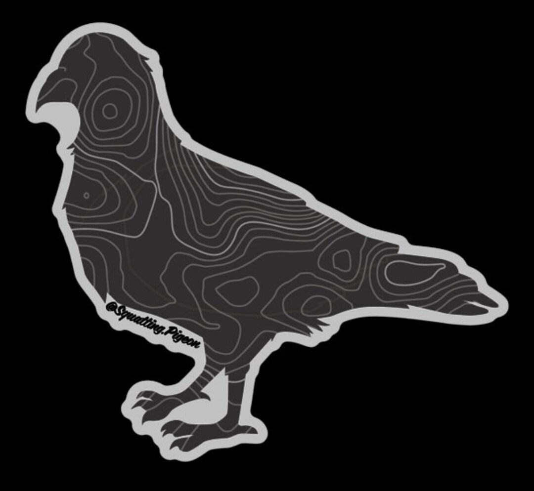 Topographical Pigeon Decal Squatting Pigeon - Etsy