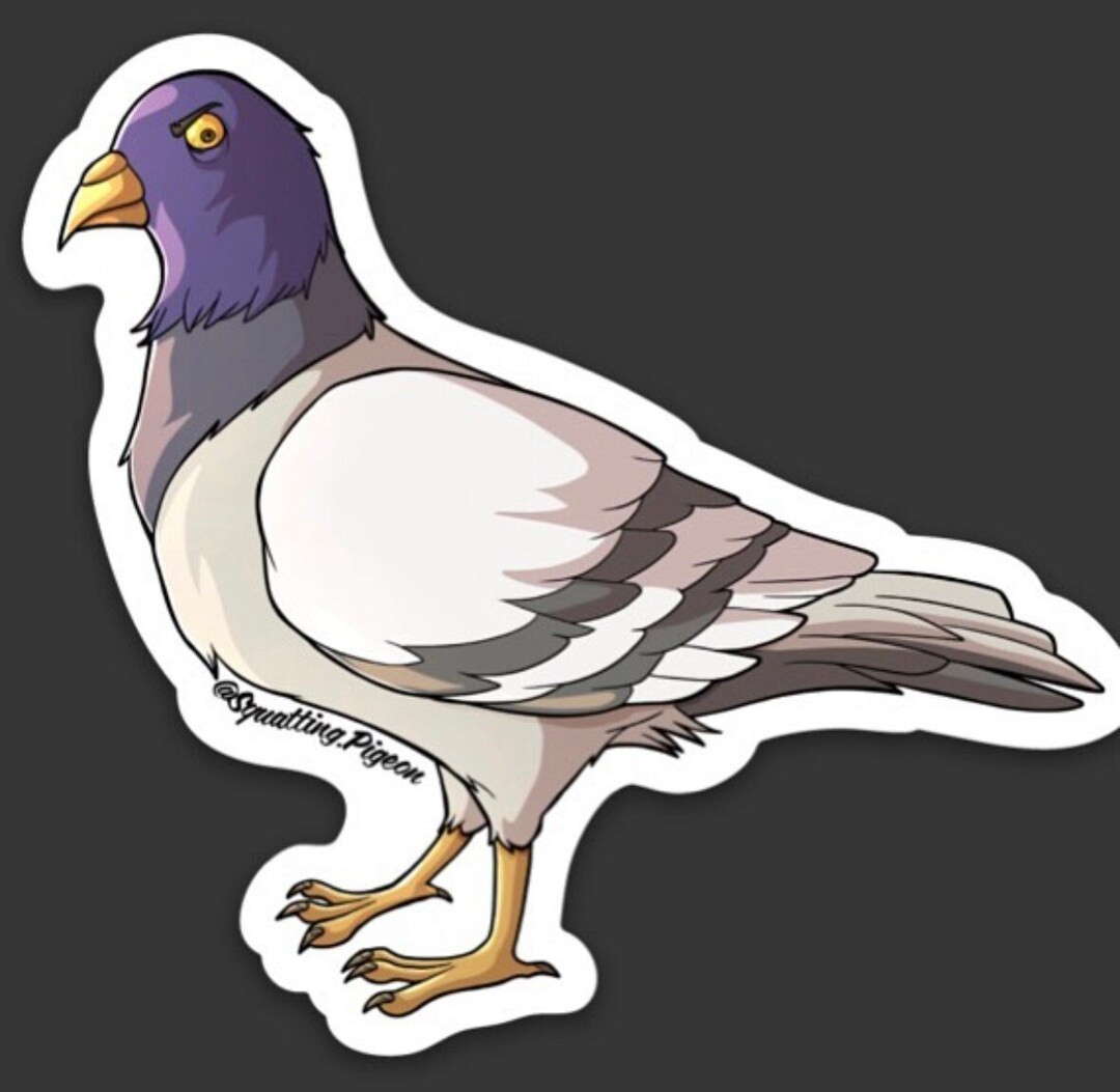 Pigeon Decal Squatting Pigeon - Etsy