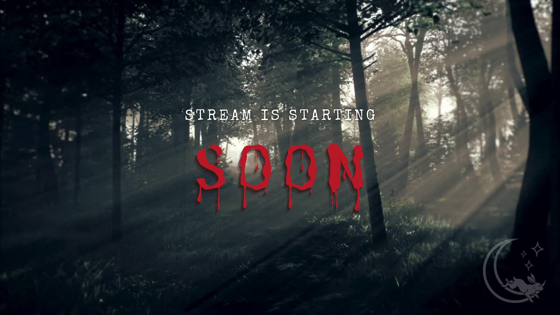 Spooky Forest Starting Soon Screen - Etsy