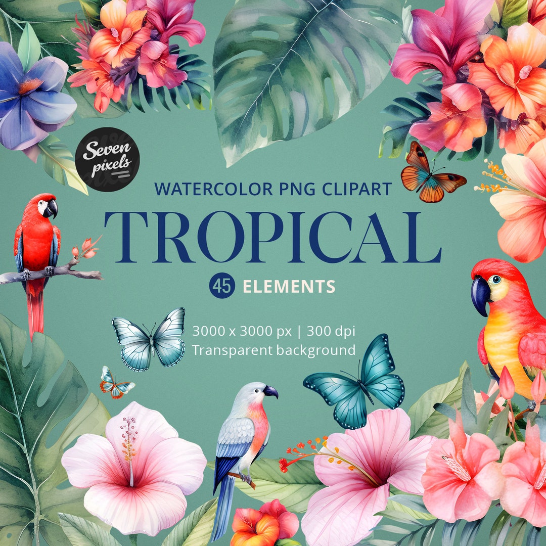 Summer Tropical Watercolor Clipart, Bright Graphics With Floral ...