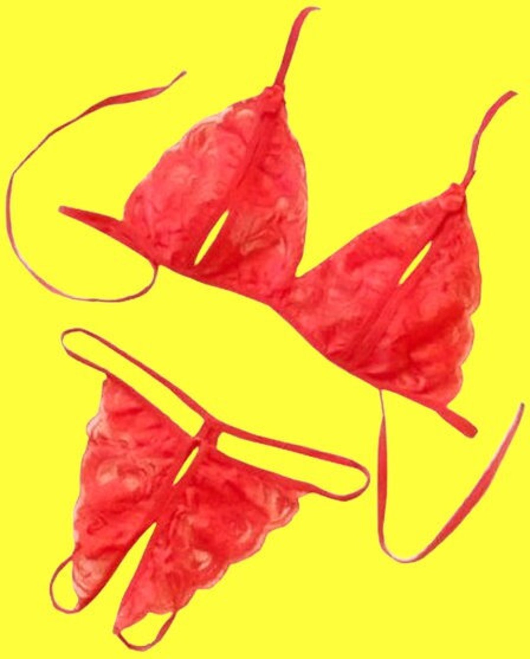 Sexy Three-point Lingerie Set Includes Transparent Lace Bra - Etsy