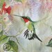 BACK IN Stock**hummingbird in Flight** Paper Napkins, Great for ...