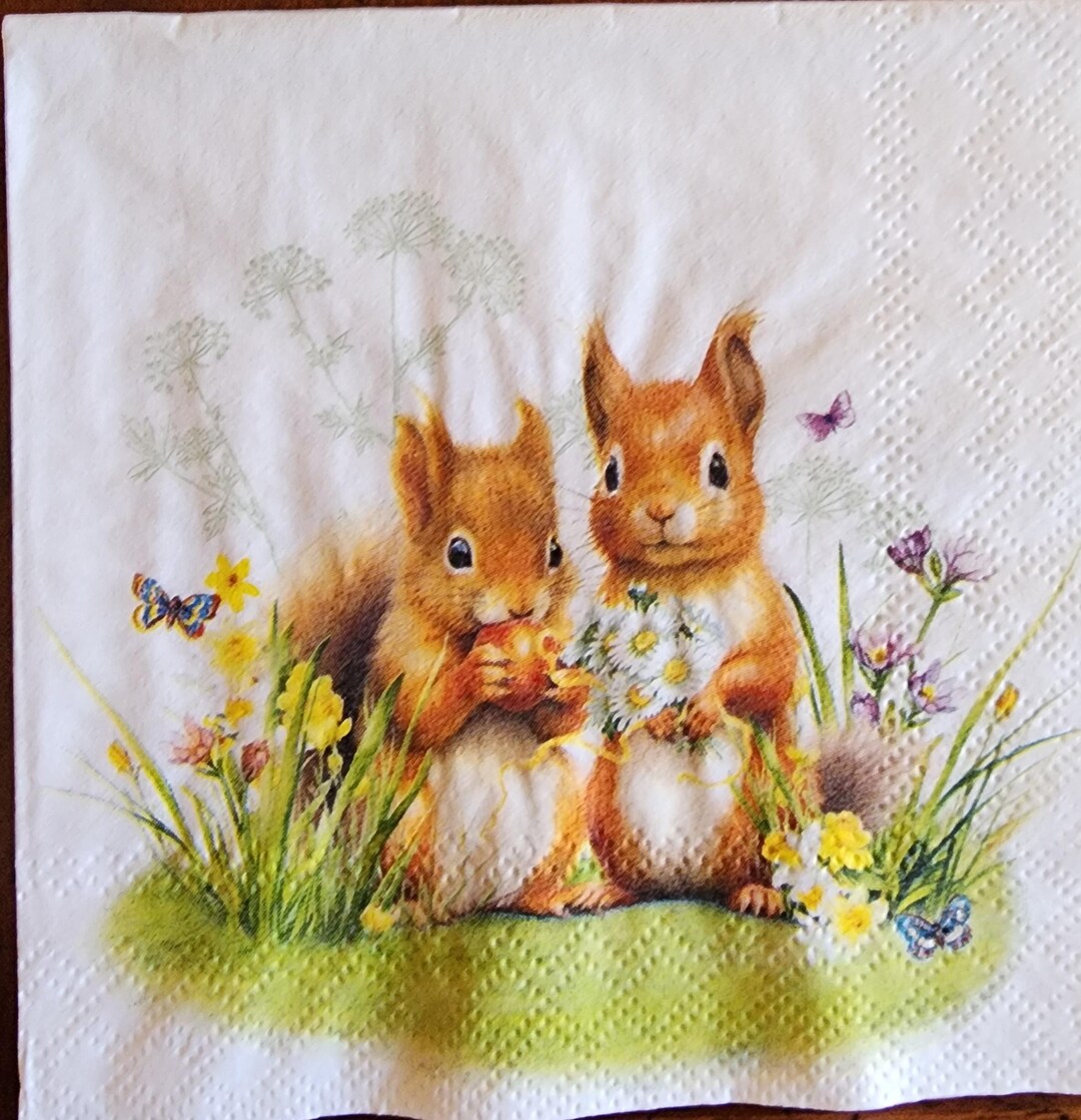 NEW ARRIVAL **decoupage Paper Napkins *squirrel Friends* Paper Napkins, Great for Decoupage ...