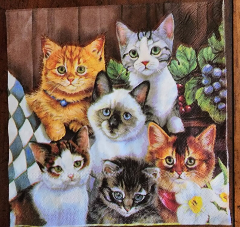 Decoupage Paper Napkins *clowder of Cats* Paper Napkins, Great for ...