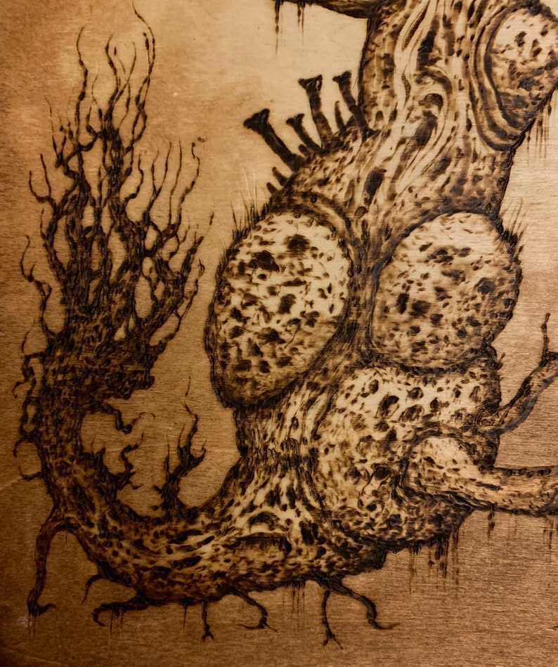 Hand-made Pine Wood Burned Forest Fungal Art. Tree, Mushroom, Rock ...