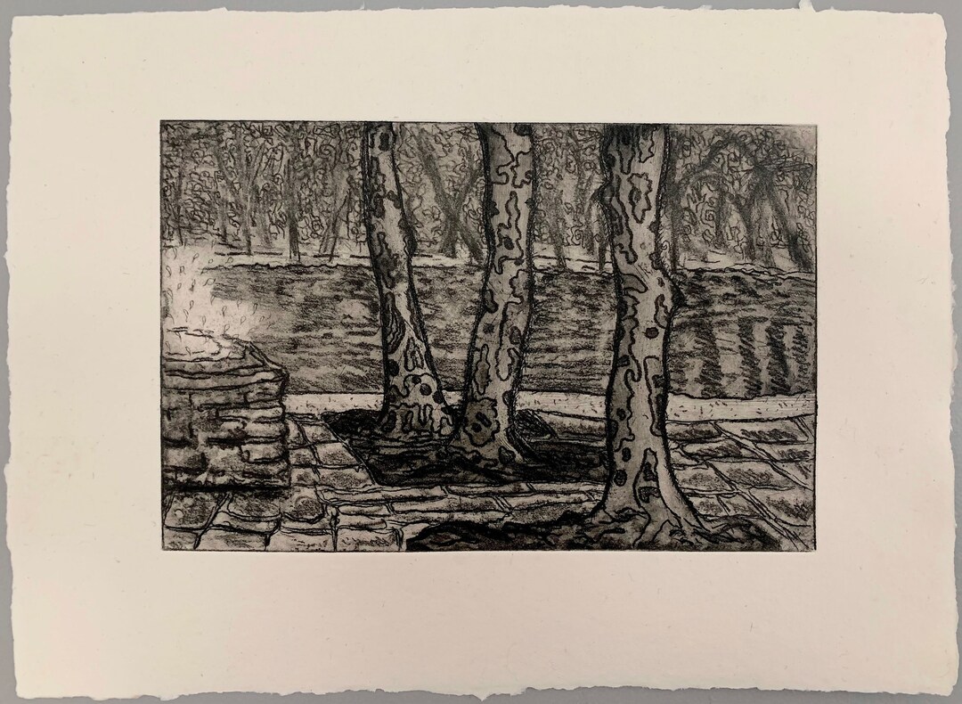 ORIGINAL Etching by Jonas Thaler. 3 Sycamores at Wade Lagoon, Cleveland ...