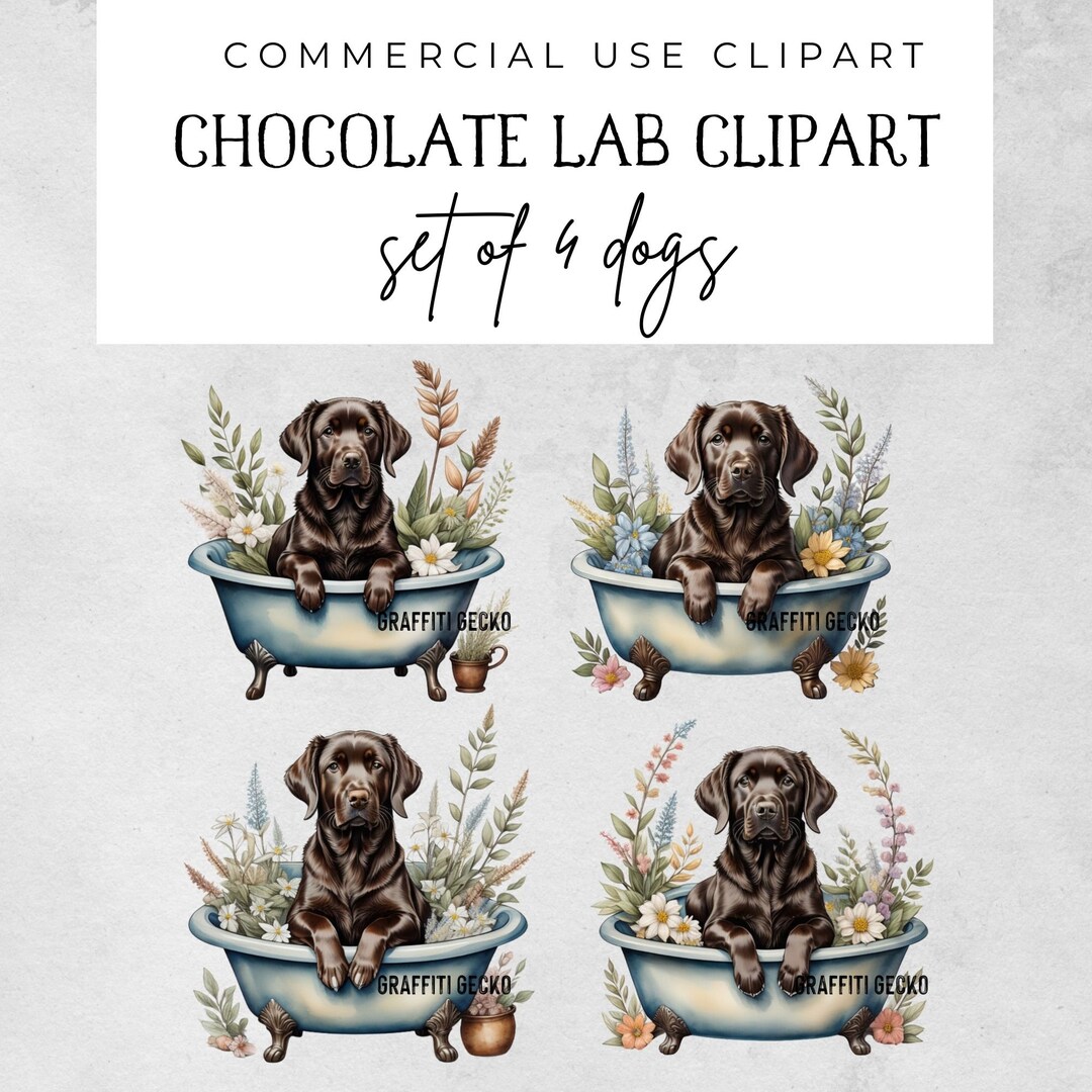 Labrador Clipart Labrador Retriever Clipart Bundle Chocolate - Etsy