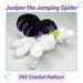 Juniper the Jumping Spider Crochet Pattern – Amigurumi Plushie (digital ...