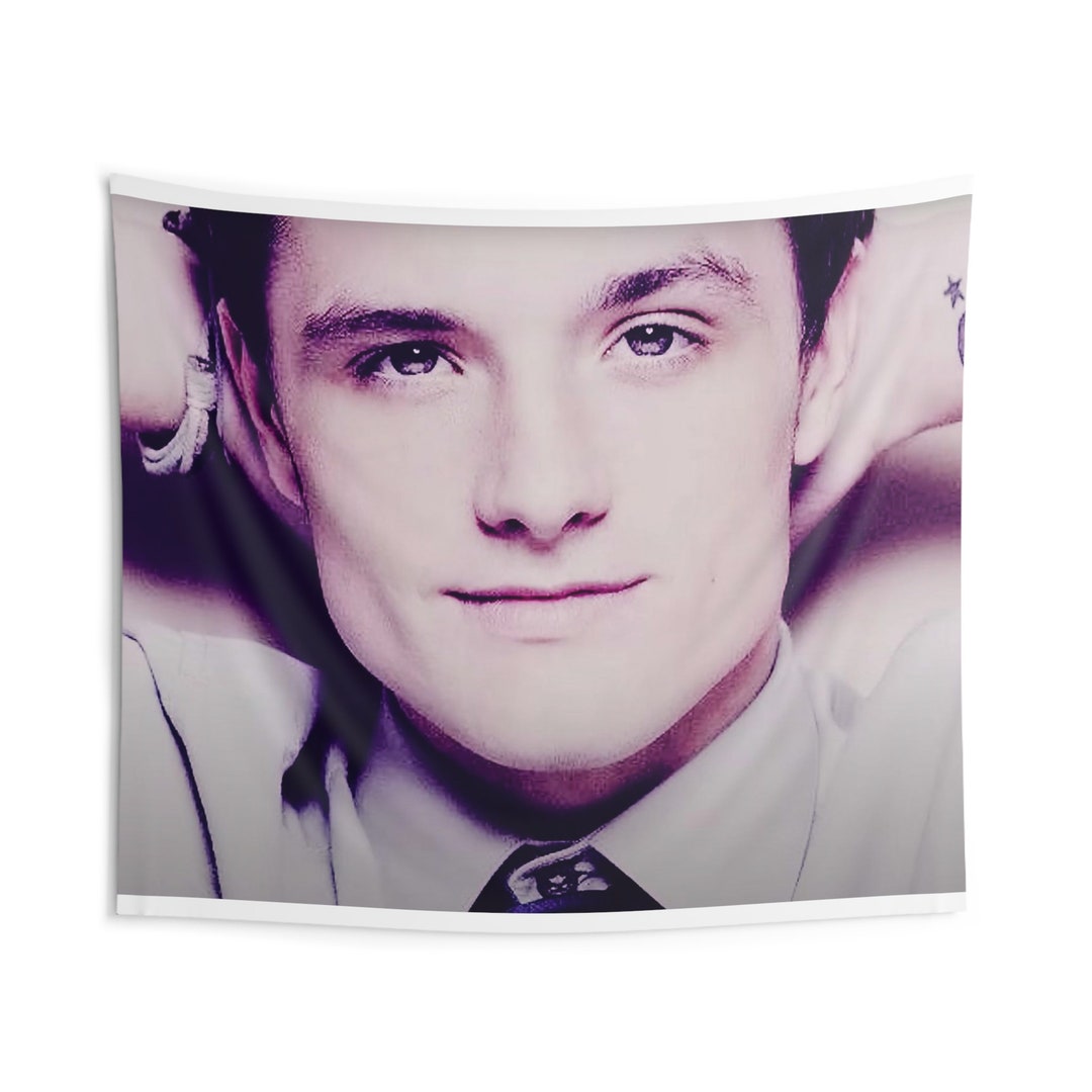 Josh Hutcherson Meme Can You Blow My Whistle Funny Wall Decor Tapestries Etsy