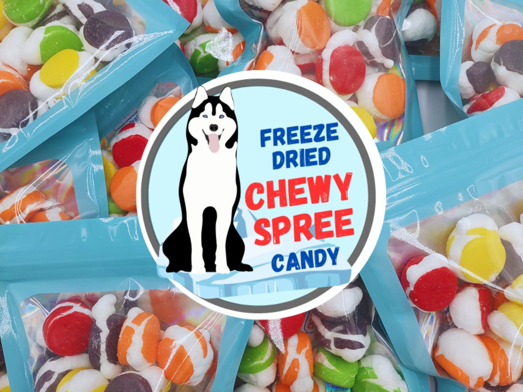 Experience Freeze Dried Skittles Candy, Crunchy Rainbow Skittles in a ...