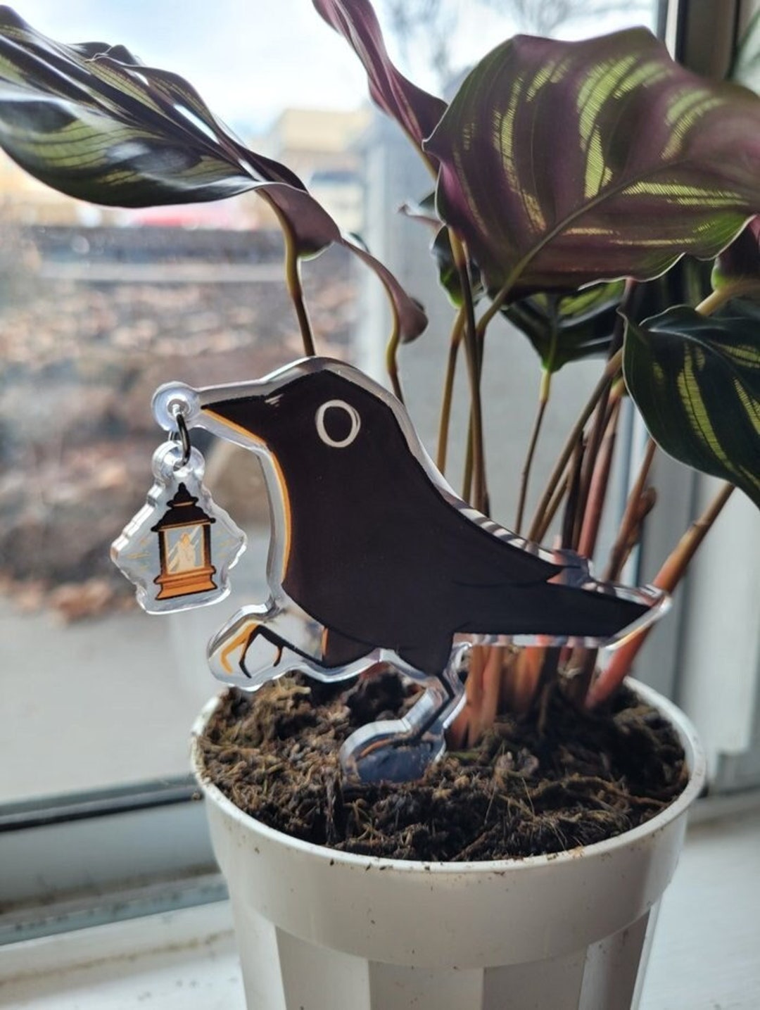 Crow Plant Buddy - Etsy