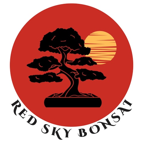 RedSkyBonsaiShop - Etsy