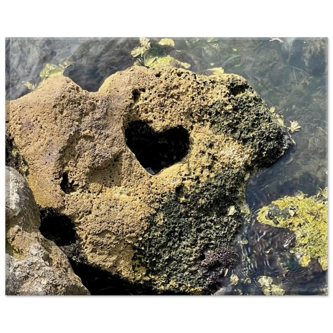 Heart Rock in Anna Maria Island - Canvas Wall Art - Etsy