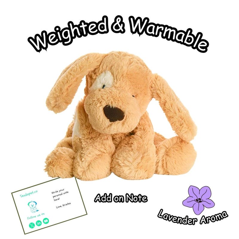 Send a Friend Stuffed Animal - Etsy
