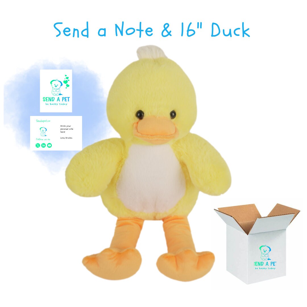 16 Duck Stuffed Animal Personalized Gift and Care Packages Send a Hug ...