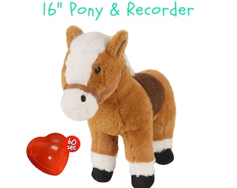 16 Recordable Green Frog Plushie Stuffed Animal Plushie 60 Second Voice ...