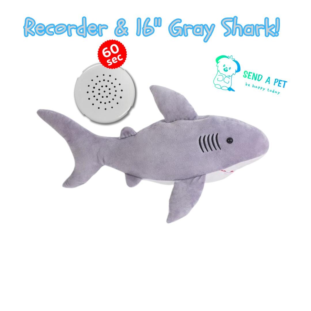Recorder & 16 Great Shark Plushie Stuffed Animal 60 Second Voice ...