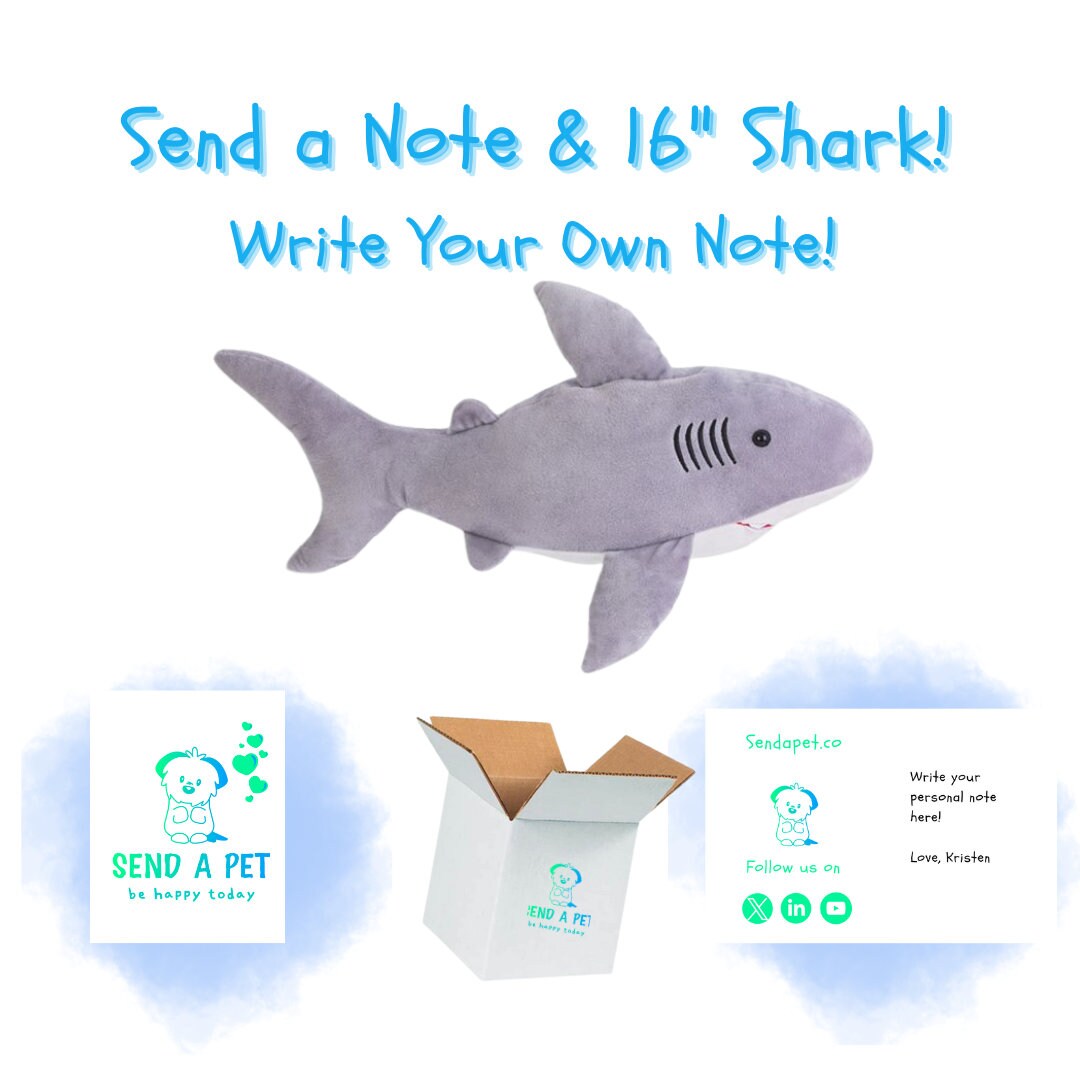 16 Gray Shark Stuffed Animal Personalized Gift and Care Packages Send a ...