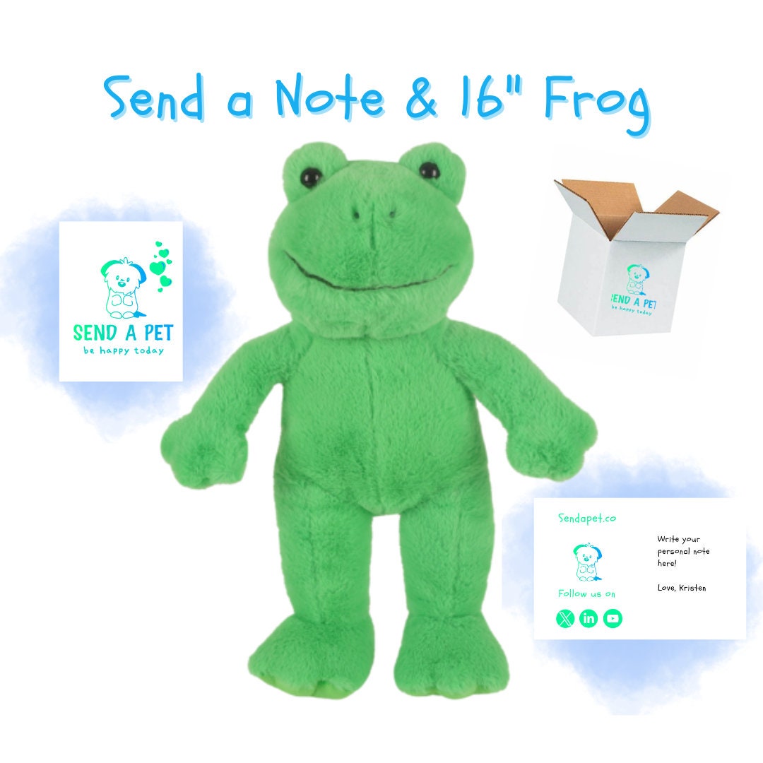 16 Green Frog Stuffed Animal Personalized Gift and Care Packages ...