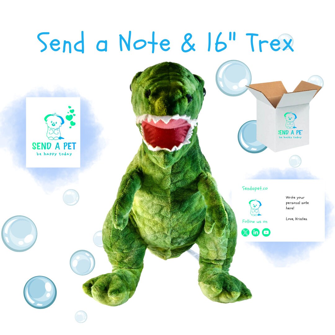 16 Trex Dinosaur Stuffed Animal Personalized Gift and Care Package Send ...