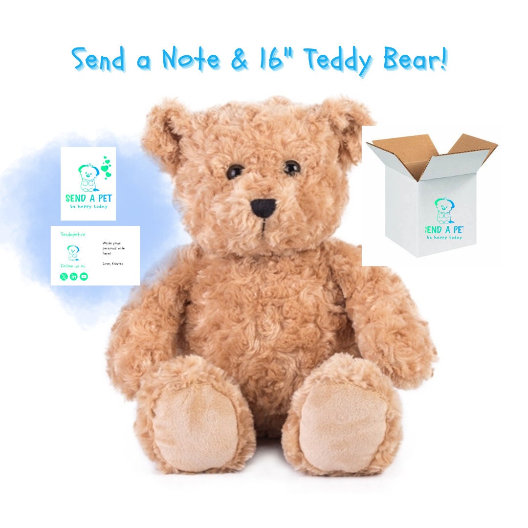 16 Teddy Bear Stuffed Animal Personalized Gift and Care Packages Send a ...