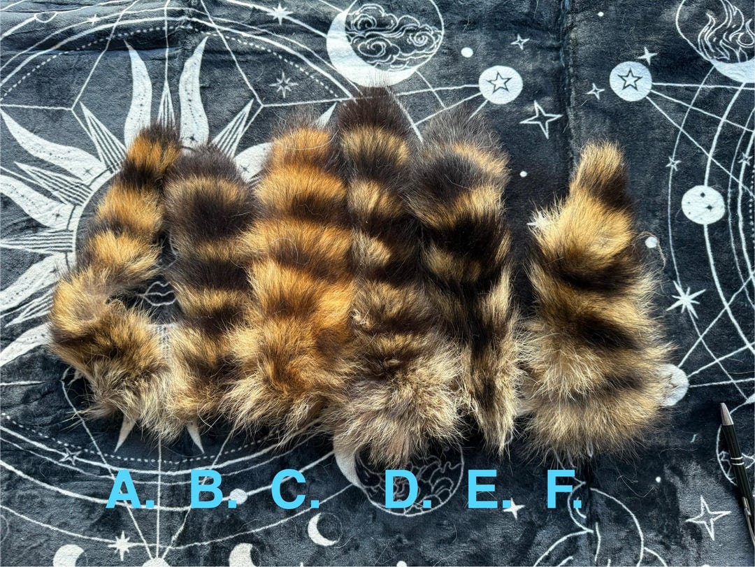 Tanned Coyote and Raccoon Tails- Craft, Tanned, No Keychain - Etsy