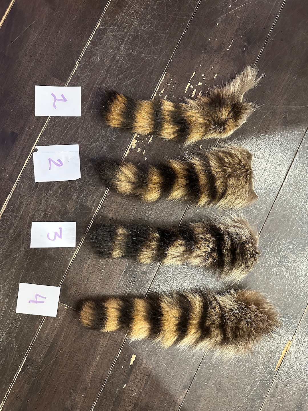 Tanned Coyote and Raccoon Tails Craft, Tanned, No Keychain - Etsy