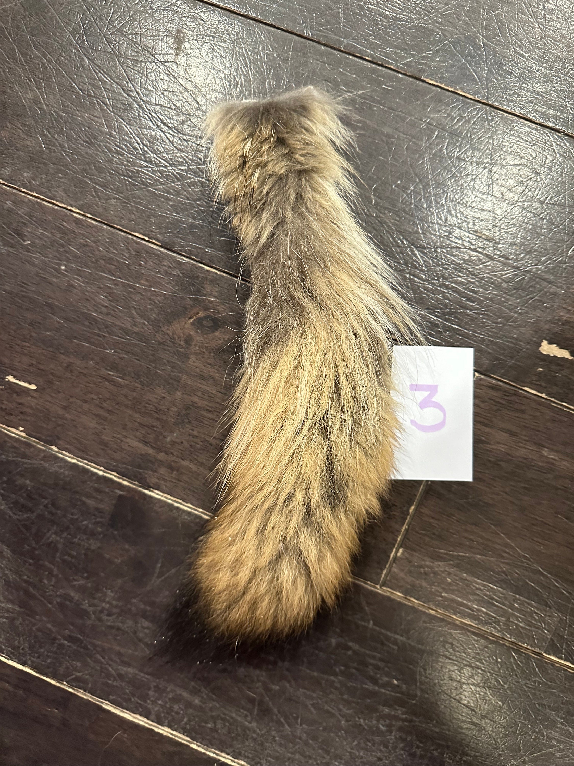 Tanned Coyote and Raccoon Tails Craft, Tanned, No Keychain - Etsy