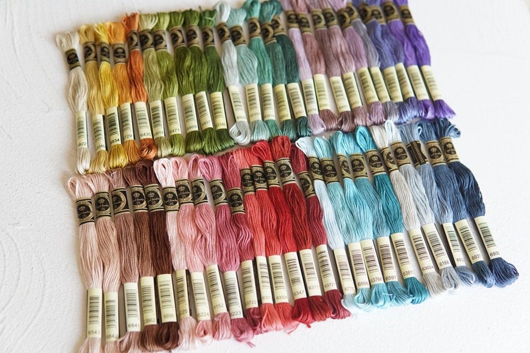 Morandi Colours Embroidery Floss Pack 50 Skeins 100% Cotton Threads DMC ...