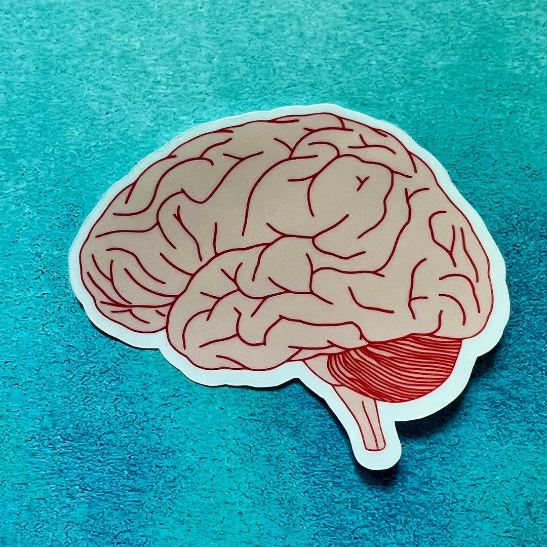 Brain Sticker Neuroscience Neurochallenged Waterproof Water Resistant ...