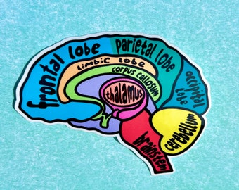 Mind Neuron Business Sticker Science Sticker Pack, Neuroscience Gift ...