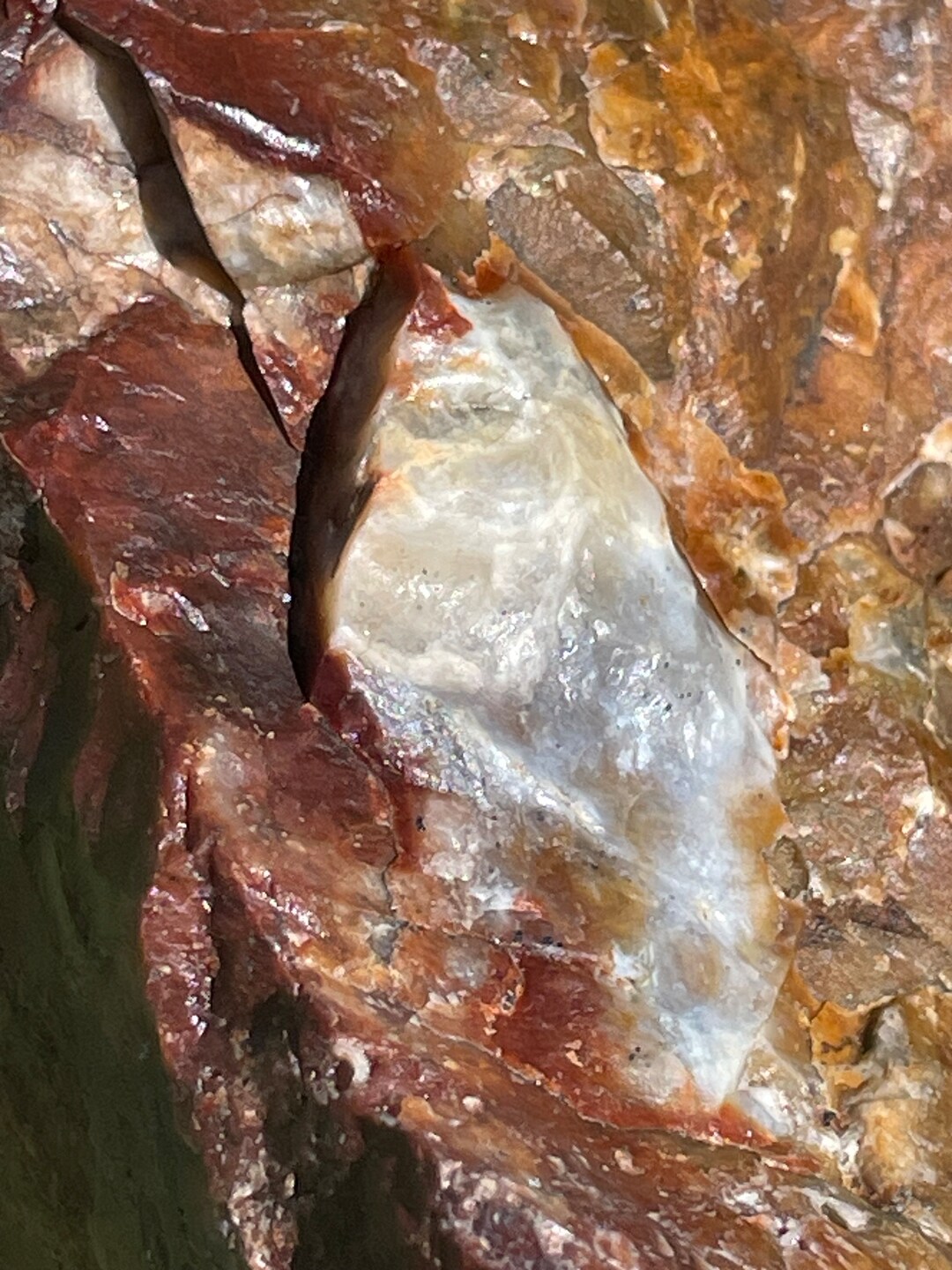 Opalized Rainbow Petrified Wood - 8-lb California “opal”, Agate, Jasper ...