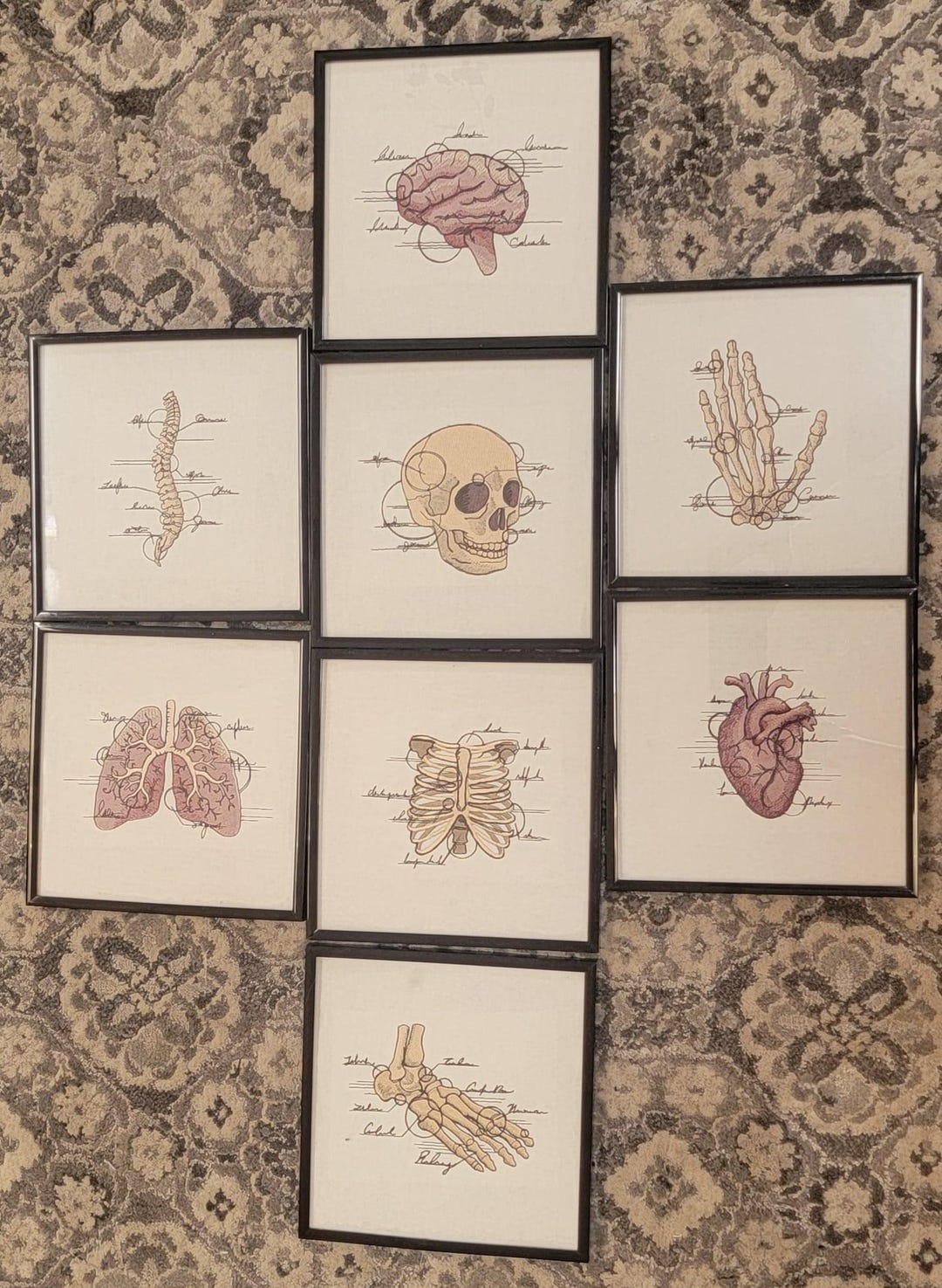 Embroidered Anatomy Picture Set - Etsy