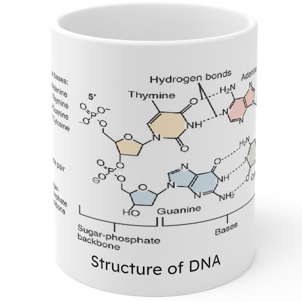 BioChronicleAtelier - Etsy Canada