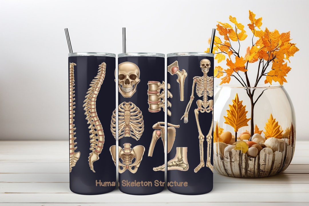 Human Skeleton Structure 20oz Skinny Tumbler, Double-wall Insulation ...