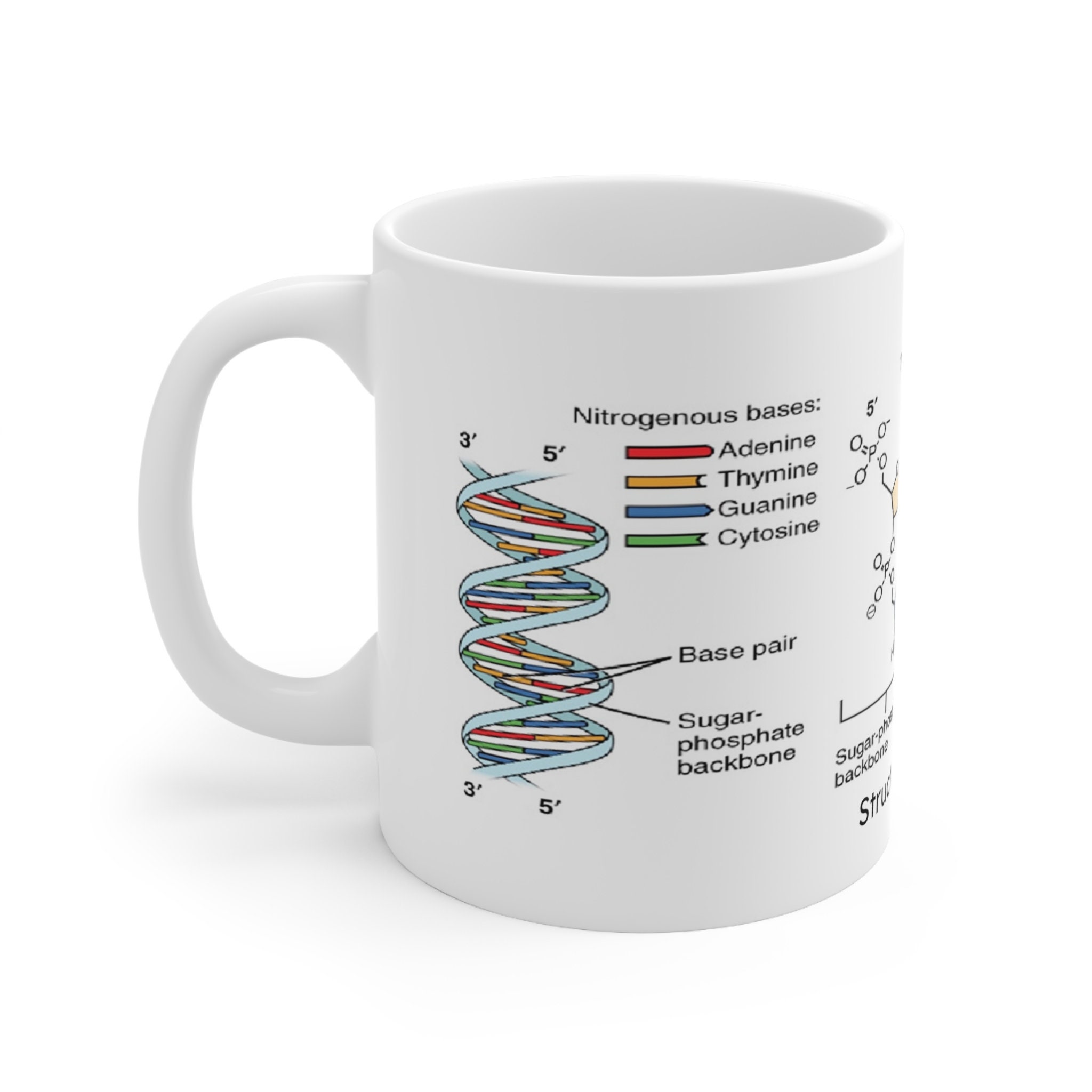Structure of DNA Mug, Life's Building Blocks, Life Science Drinkware ...