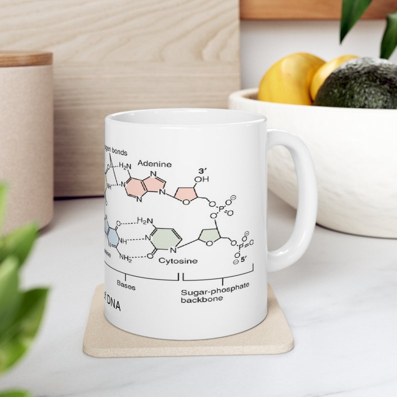 Structure of DNA Mug, Life's Building Blocks, Life Science Drinkware, Molecular Biology Theme ...