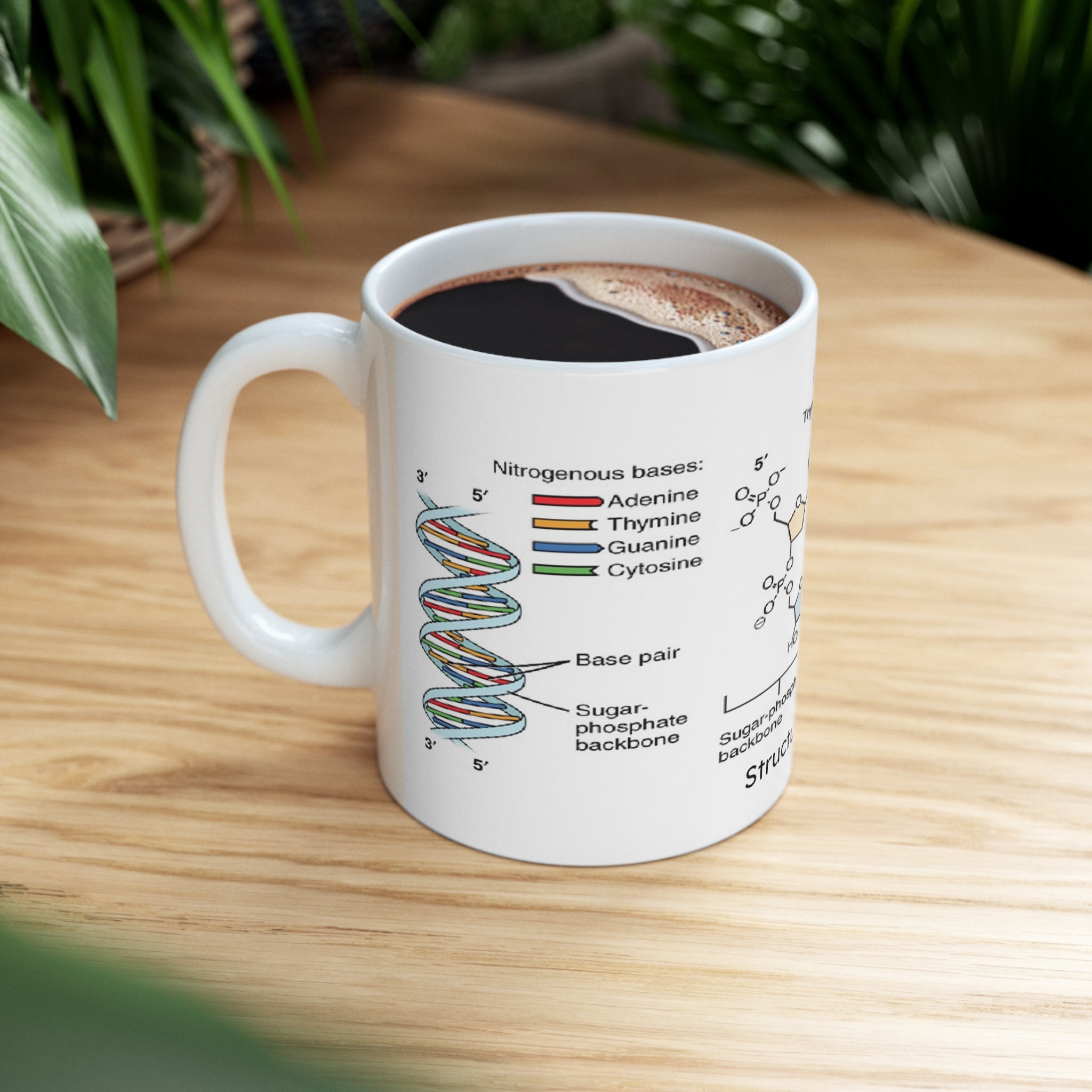 Structure of DNA Mug, Life's Building Blocks, Life Science Drinkware, Molecular Biology Theme ...
