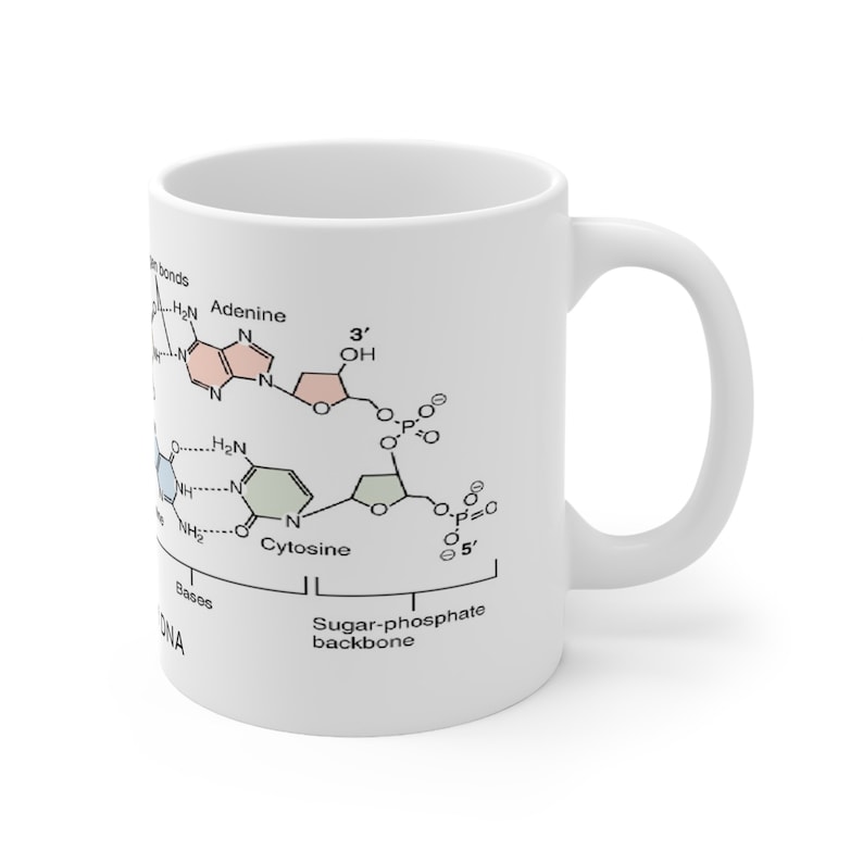 Structure of DNA Mug, Life's Building Blocks, Life Science Drinkware ...