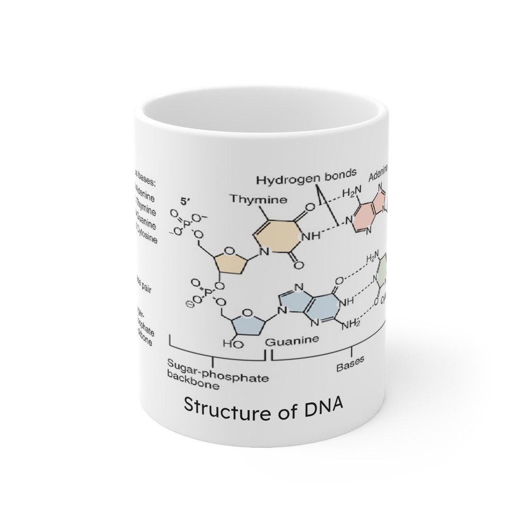 Structure of DNA Mug, Life's Building Blocks, Life Science Drinkware ...