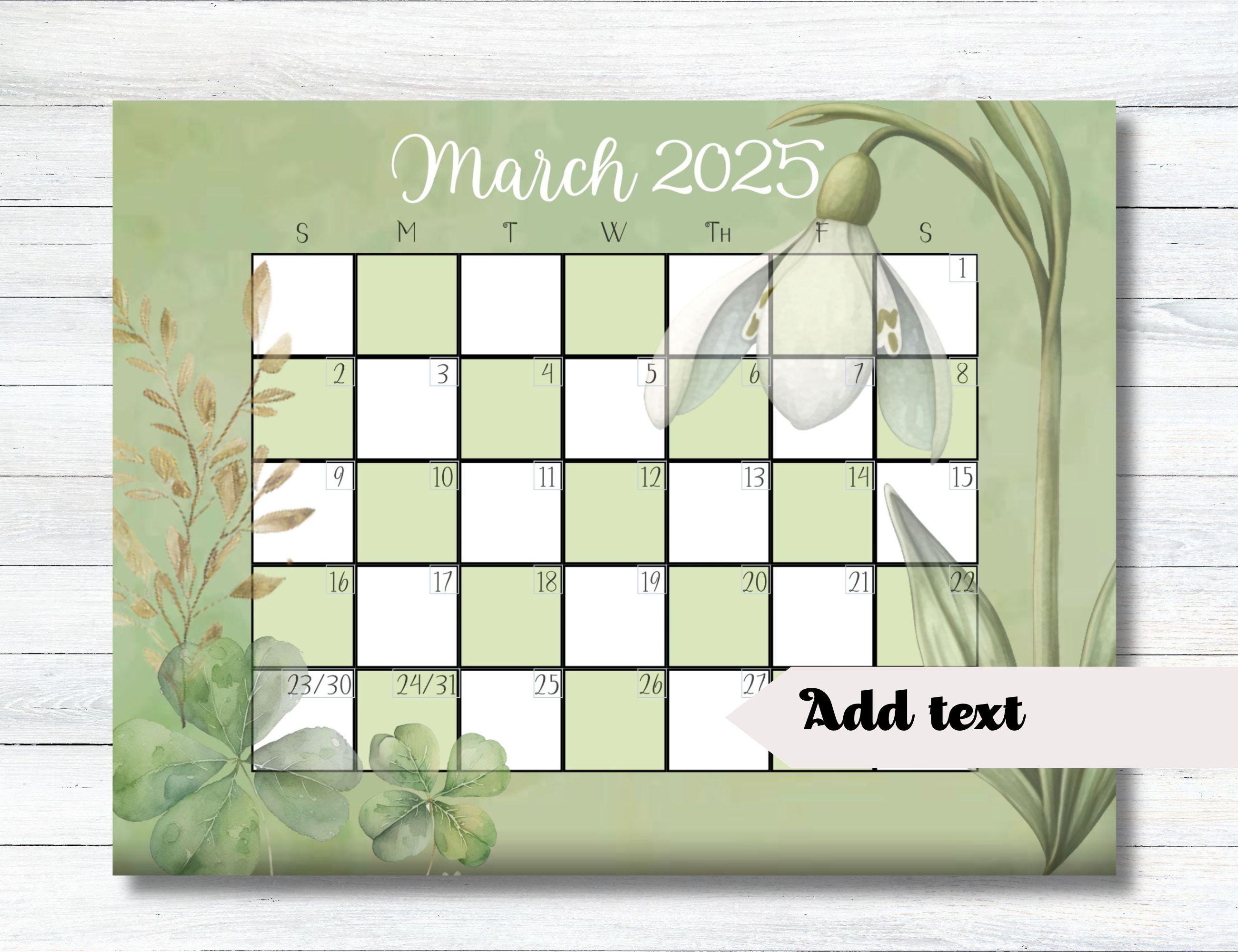 EDITABLE March 2025 Calendar, St Patrick's Calendar, Green Calendar ...