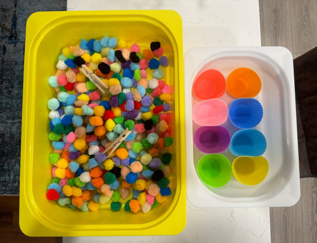 Color Sorting + Matching Rainbow Sensory Activity - Etsy
